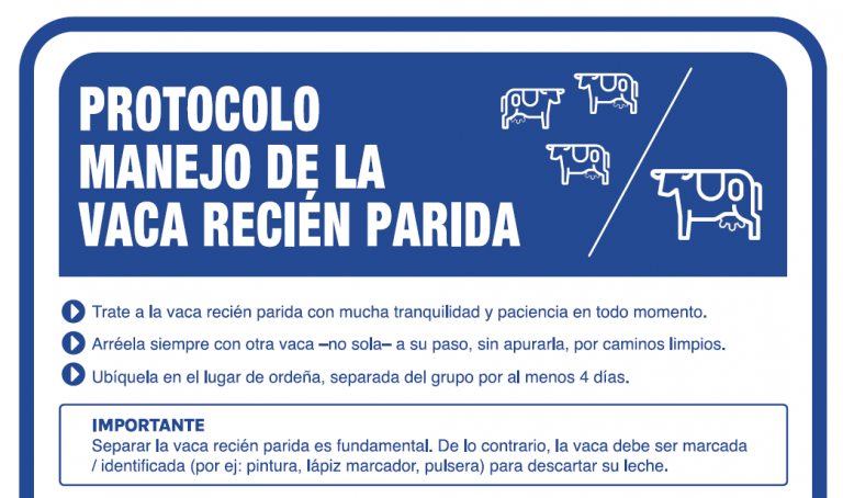 Instrucciones y señalética para el manejo de vacas recién paridas ...